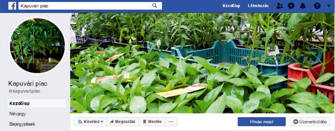 Megnyílt a kapuvári online piactér | Rábaközi Médiacentrum